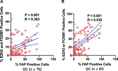 Correlation Of The Percentage Of Positive Protein Cells In Gc Tissue A