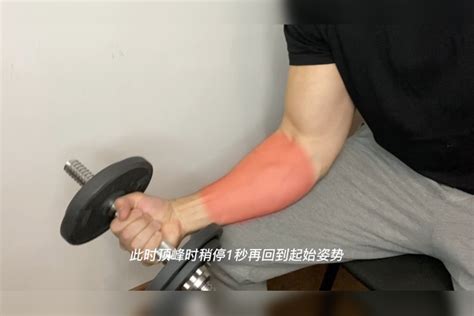 14天前臂训练计划 如何增大手臂围度 3个哑铃经典动作