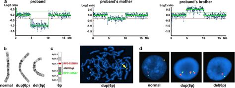 Array CGH And FISH Analyses Of The Family A Array CGH Detected An Download Scientific Diagram