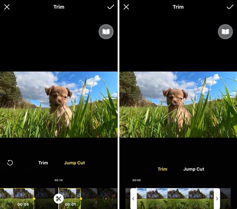 Insta360 Mobile App Update Faster Exports New Interface And More CineD