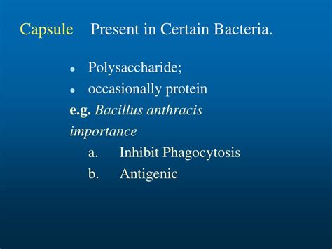 Ppt Classification Of Medically Important Bacteria Powerpoint Presentation Id 4480984
