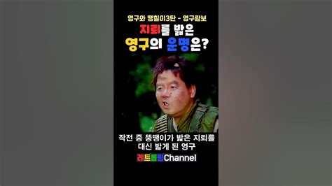 영구와 땡칠이 3탄 영구람보 1990년작 지뢰를 밟은 영구 Youtube