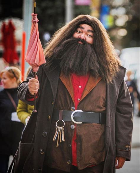 Diy Rubeus Hagrid Cosplay Harry Potter Costume Harry Potter Costume