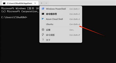 windows 配置 oh my zsh 春告鳥 博客园