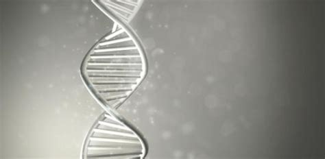 12th Grade Protein Synthesis Quizzes Questions Answers Trivia