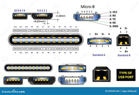 Set Of Computer Connectors Or Usb Universal Connector Symbols Or Various Usb Plug Connector Mini