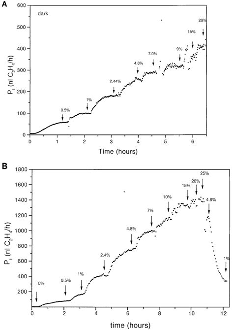 Rates Of Ethylene Production P T By N Spumigena At Different