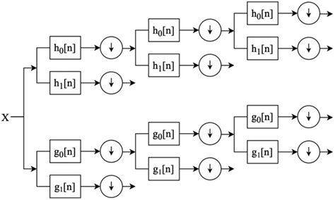 Image Classification Using Convolutional Neural Network With Wavelet Domain Inputs Wang 2022