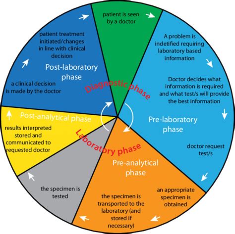The Phases Of Laboratory Testing Download Scientific Diagram