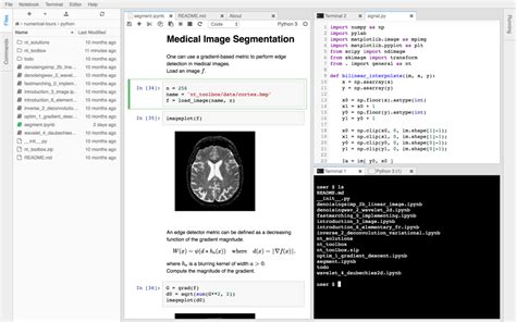 Combining Jupyterlab And Lighttable Futurepikol