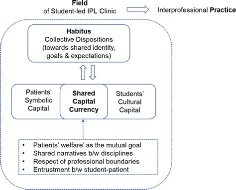 A Framework For Conceptualising Interprofessional Practice In A