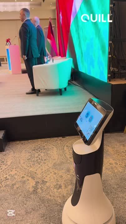 Minibot Mc Robot Jordan Quill Quill