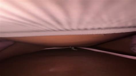 Teenage Moring Sex Hit Different Eporner Teenage Moring Sex Hit Different Eporner