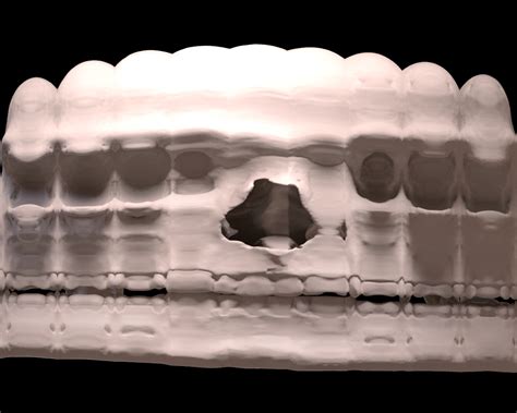 Rolling Shutter Experiments On Behance