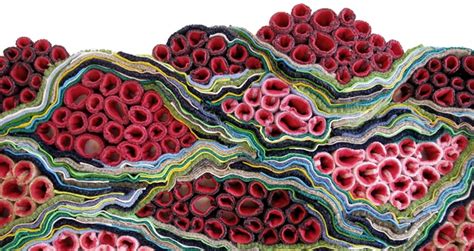 Pin By Christina Beehive On Style Crochet Art Textile Sculpture