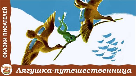 Лягушка путешественница Сказка В М Гаршина Youtube