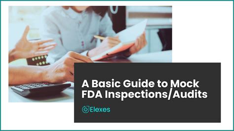 A Basic Guide To Mock Fda Inspections Audits