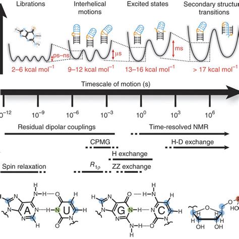 Nmr Spectroscopy Techniques And Site Specific Probes For Characterizing