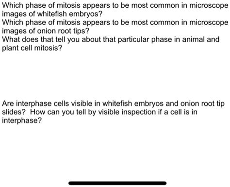 Solved Which Phase Of Mitosis Appears To Be Most Common In Microscope