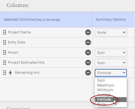 Grouping And Summarizing Report Data Replicon