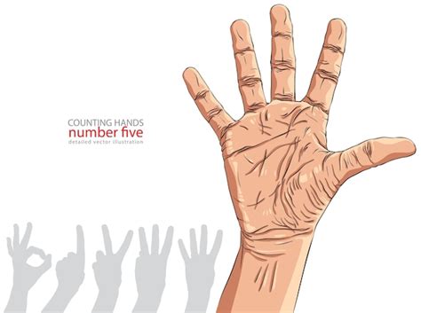 Premium Vector Numbers Hand Signs Set Number Five Detailed Vector