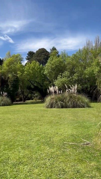 Jardín Botánico Uach Valdivia Chile Youtube
