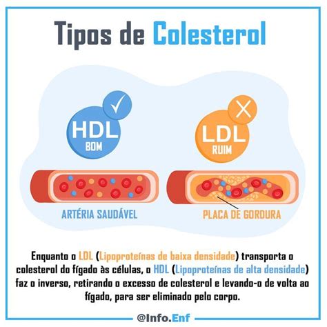 Pin Em Ciência And Anatomia