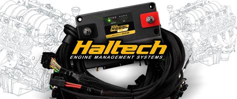 Haltech Nexus Rebel Ls G8only For All Things G8