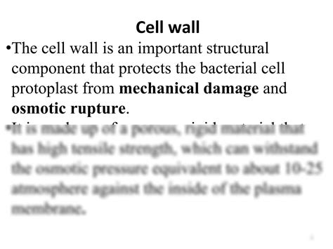 Solution Bacterial Cell Envelope Studypool