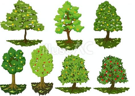 Free Vectors Fruit Bearing Tree