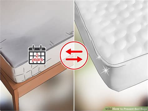 3 Ways To Prevent Bed Bugs WikiHow Life