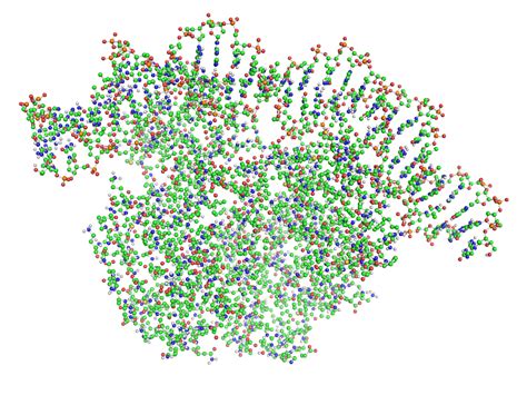 表示形式のプリセット Pymol Book
