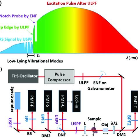 Pdf Terahertz Coherent Anti Stokes Raman Scattering Microscopy