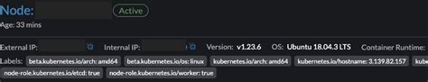 copying a node s external ip or internal ip does not give a visual
