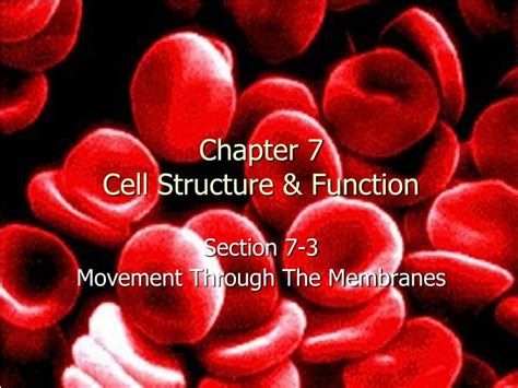 PPT Chapter Cell Structure Function PowerPoint Presentation Free Download ID