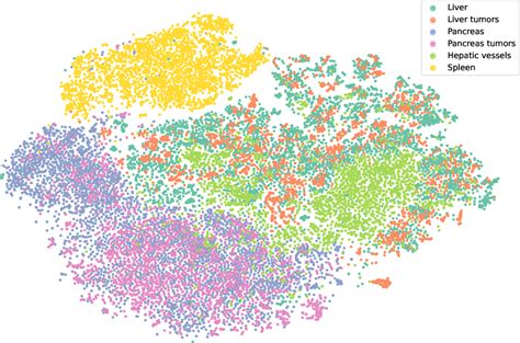 vox2vec a framework for self supervised contrastive learning of voxel