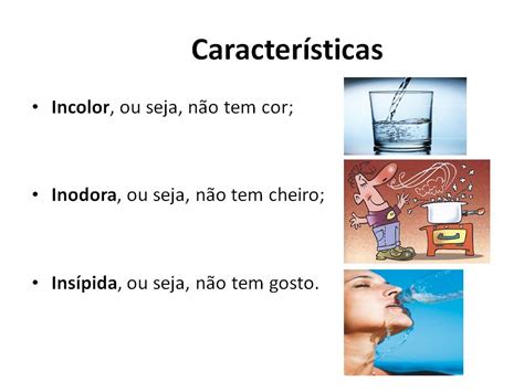 Atividades Educacionais Gua Suas Caracter Sticas E Benef Cios Hot Sex Picture