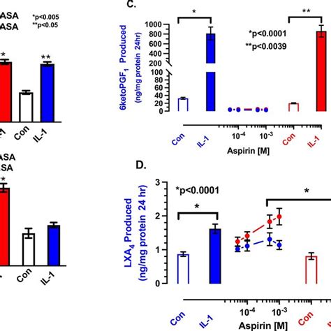 Endothelial Cells Express Enzymes In Involved In Leukotriene And