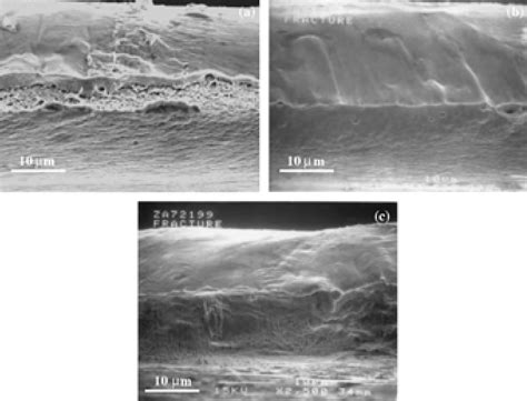 Sem Pictures From The Fracture Surface Of Samples Deposited At