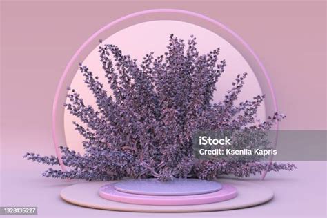 3d 렌더 식물 배경 보라색 봄 꽃으로 장식 된 둥근 받침대 빈 화장품 상점 쇼케이스 스탠드 패션 3차원 형태에 대한 스톡 사진 및 기타 이미지 Istock