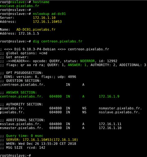 expertly set up and configure dns for your website by oubaidhlaimi fiverr