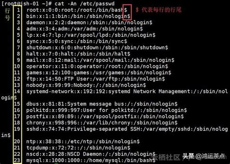 Linux基礎知識Linux常用命令大全 每日頭條