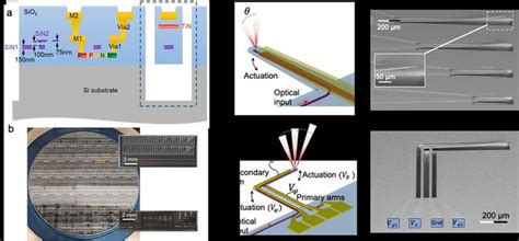 A The Cross Section Schematic Of The Fabricated 200 Mm Wafer Including Download Scientific