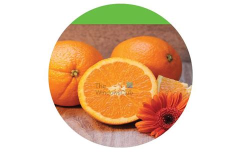 How To Use The Clipping Mask In Illustrator