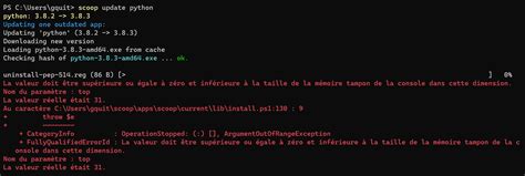 Python Cannot Install Python From Scoop · Issue 3973
