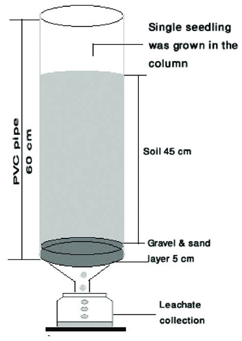 Schematic Diagram Of Column Study Download Scientific Diagram