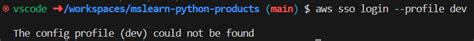 Visual Studio Code Mount For AWS CLI Config Not Working As Expected
