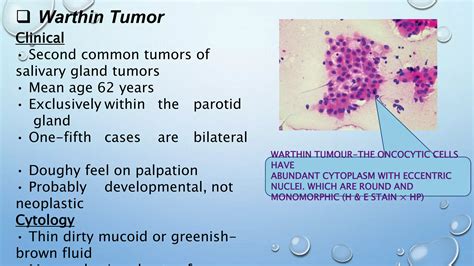 Salivary Gland Cytology Pptx