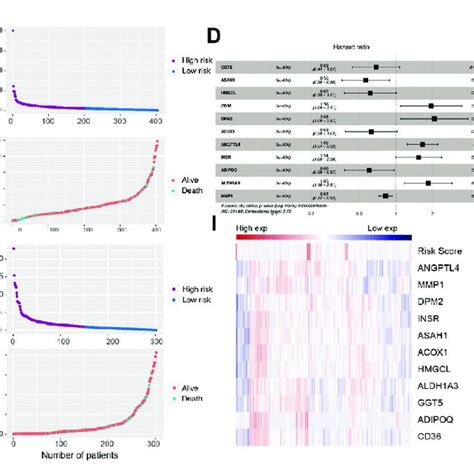 Development Of Risk Model Based On The 11 Lmgs Signature Of Crc Download Scientific Diagram