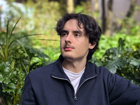 Honor Magic Pro Camera Test Dxomark